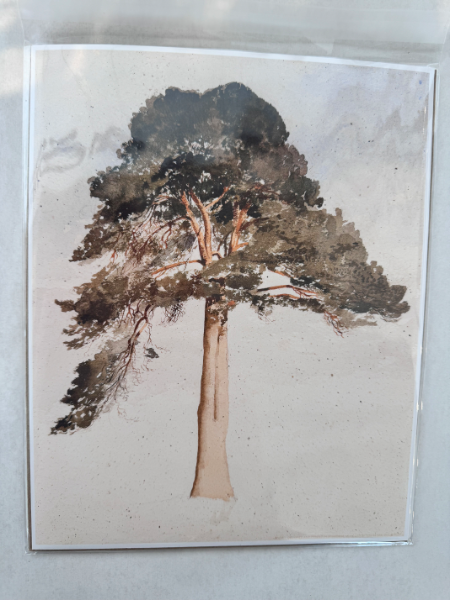 Framed Lone Tree 9x12 – Bungalow Home Furnishings