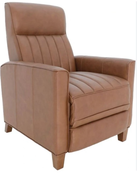 Ara Push Arm Recliner: LAST ONES – Bungalow Home Furnishings