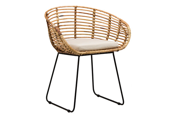 Paco Dining Chair – Bungalow Home Furnishings